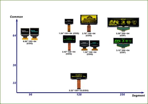 Wisechip Pm Oled Solutions Rodem Microsystem Embedded Wireless Oem Solutions Provider