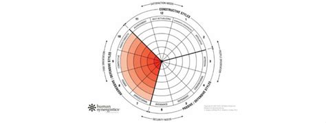 LSI Series Power Human Synergistics Australia