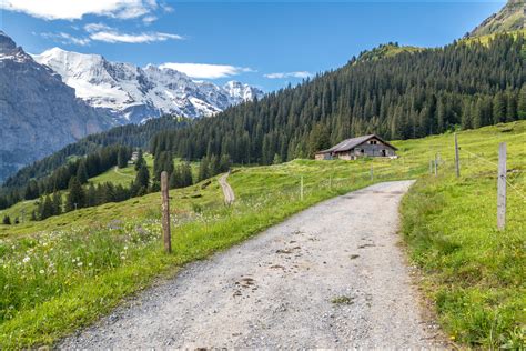 Gimmelwald Walk Murren Walk Grutschalp To Murren