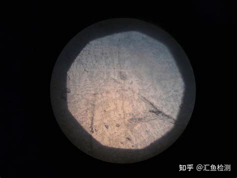 金相显微镜 知乎