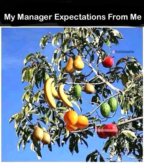 moneeb khalid on linkedin indeed 🤣🤣