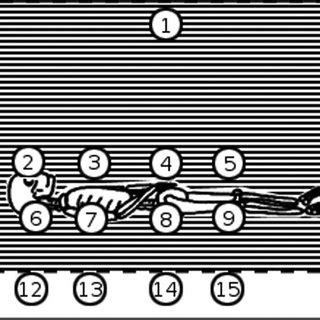 Example Of Point Sampling Pattern Download Scientific Diagram