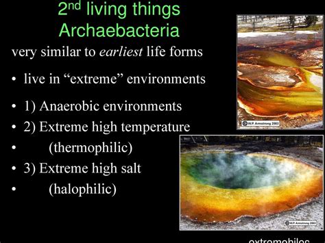 Earth History Ppt Download