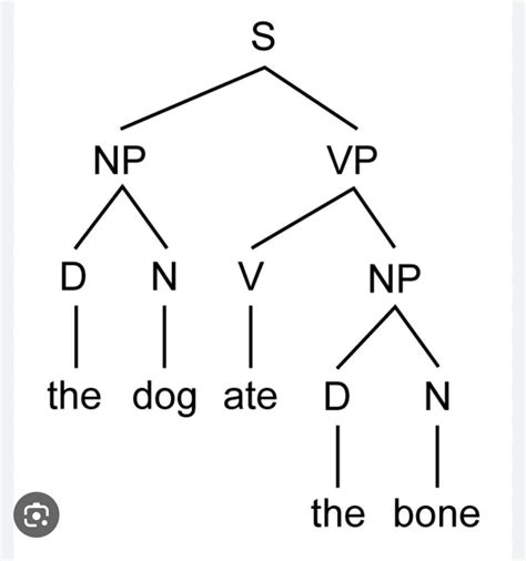 Learn Grammar In The Best Way Tree Analysis