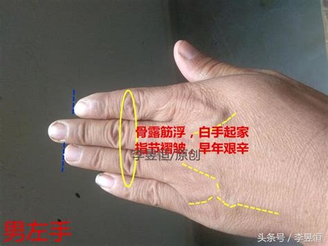 斷掌手相：四指褶皺多，早年受煎熬；骨露筋浮，白手起家！ 每日頭條