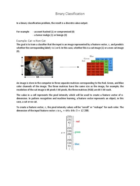 Binary Classification Pdf Statistical Classification Computational Science