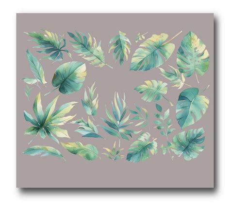 Premium Psd Hd Quality Green Leaf Elements