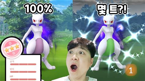 1 1000 확률로 뜨는 100 뮤츠 그리고 이로치 그림자 뮤츠 막볼 비 맞으며 하루 종일 뛴 그림자 뮤츠 현장 레이드 [포켓몬고] Youtube