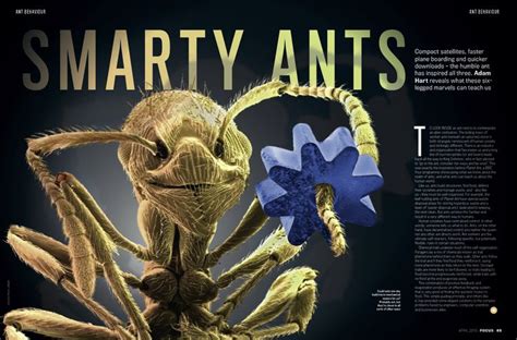 Ants Microscopic Science Design Layout Lion Sculpture Marvel Ants