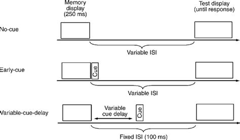 Schematic Illustration Of Events And Time Course In The No Cue Download Scientific Diagram