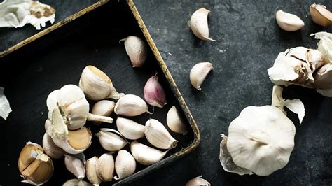 5 Obat Herbal Sinusitis Kronis Yang Mudah Ditemukan Di Rumah Hot