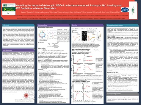 Pdf Sfn Conference Nbce1 Poster Final