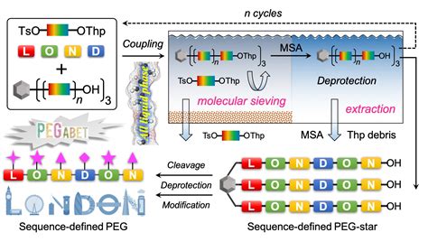 Liquid Phase Iterative Synthesis With Molecular Sieving Toward Next