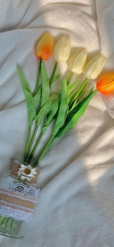 夏天 堆糖，美图壁纸兴趣社区