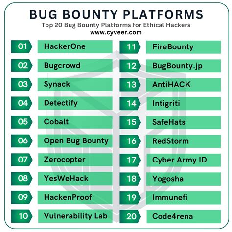 Cyveer 𝗕𝘂𝗴 𝗯𝗼𝘂𝗻𝘁𝘆 𝗵𝘂𝗻𝘁𝗶𝗻𝗴 A Dynamic Ethical Cybersecurity Practice Where Skilled Individuals