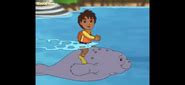 Manatees Mermaid Rescue Go Diego Go Wiki Fandom