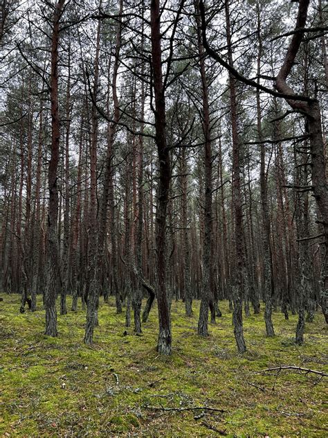 Из аэропорта — в Калининград трансфер с гидом 🧭 цена экскурсии 2000 руб 18 отзывов