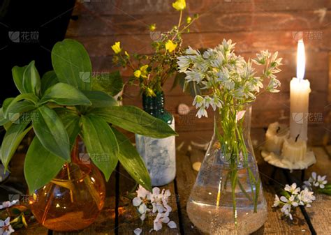 瓶子 蜡烛 植物群 静物 炼金术士 炼金术 顺势医学 女巫 巫术 灵性