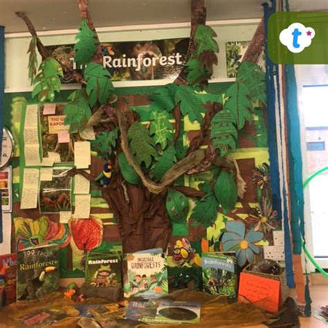 The Rainforest Classroom Display In 2025 Rainforest Classroom Classroom Displays Rainforest