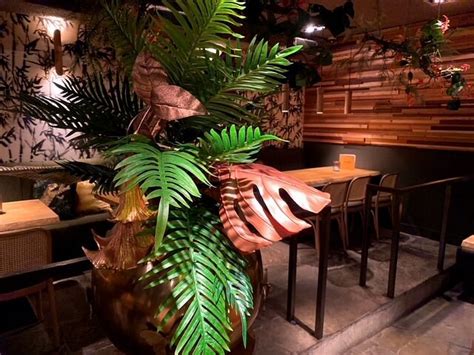 Javaanse Meisjes Alkmaar Restaurantbeoordelingen Fotos En