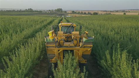 Efficient Harvesting With Harvester Machines The Best Way And Time To