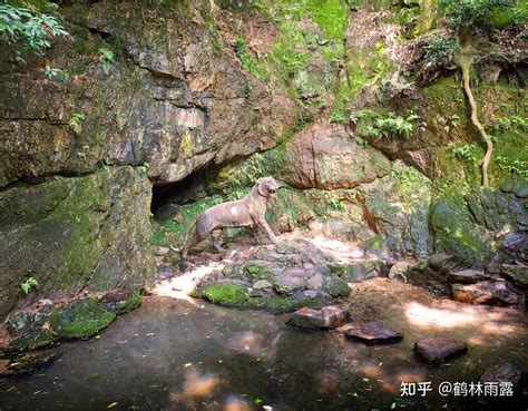 杭州西湖三大名泉虎跑泉 知乎