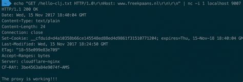 Writing A Tcp Proxy Using Netty And Clojure Infi