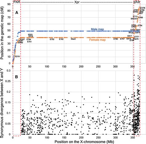 The Origin And Evolution Of Sex Chromosomes Revealed By Sequencing Of The Silene Latifolia
