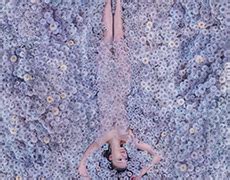 Behance After Effects On Behance