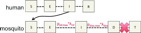 model schematic demonstrating how experimental data informs the
