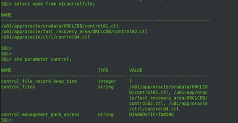 Controlfile Multiplexing In Oracle Database Dba Postmortem