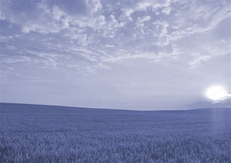 Nlp For Requirements Engineers Part 2 Requirements Engineering Magazine