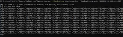 Windows Defender Antivirus Bypass In 2025 Part 1