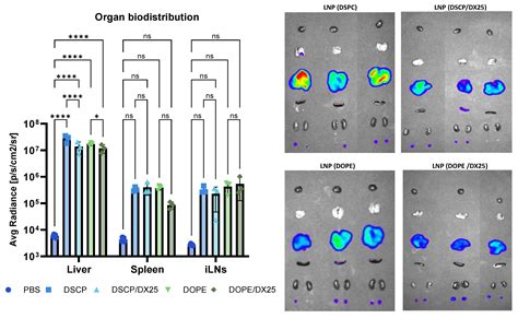 Encapsulation Of Dexamethasone Into Mrna Lipid Nanoparticles Is A Promising Approach For The