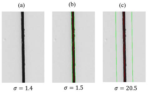 Automated Measurement Of Geometric Features In Curvilinear Structures Exploiting Stegers Algorithm