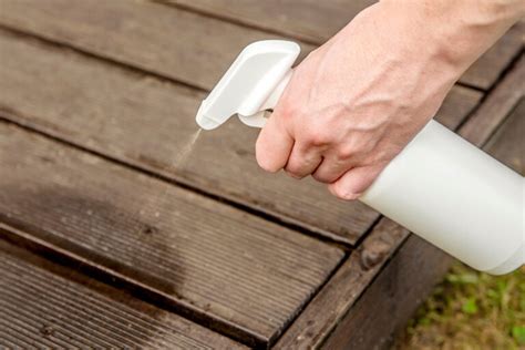 The Most Effective Natural Bee Repellent Green Coast