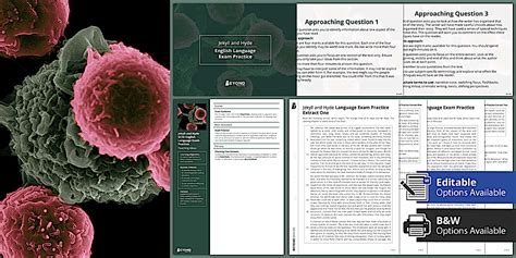 Jekyll And Hyde GCSE English Language Exam Practice Lesson Pack