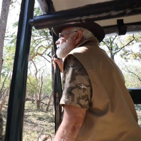 पंतप्रधान मोदी यांनी आज वाघांची संख्या जाहीर केली पंतप्रधान मोदी यांनी सांगितलं की वाघांची