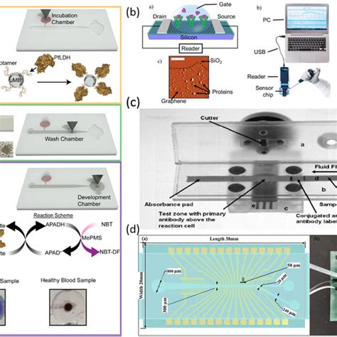 Summary Of Portable Biosensors For Salivary Biomarker Detection