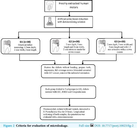 Figure 2 From Comparison Of Microleakage Between Different Restorative Materials To Restore
