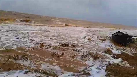 Потужний шторм накрив заповідну зону на Білгород Дністровщині Бессарабія Inform