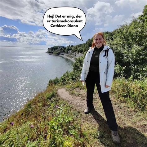 Professionel Rådgivning I Turisme Catour Til Virksomheder