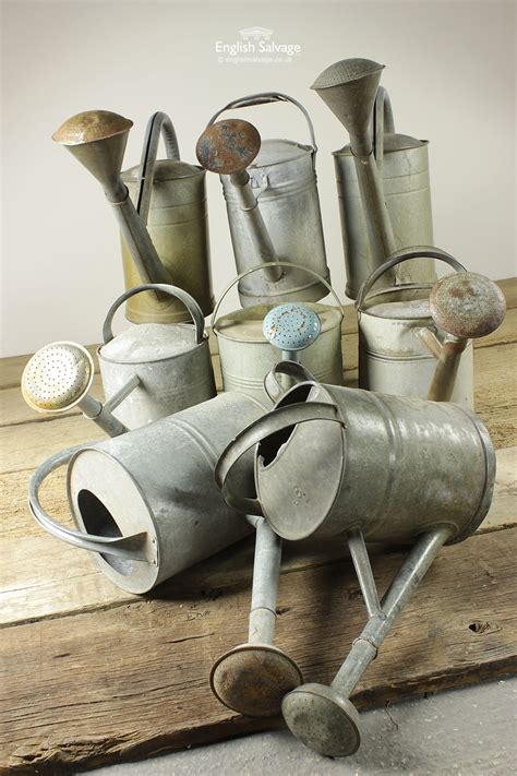 Old Galvanised Metal Garden Watering Cans