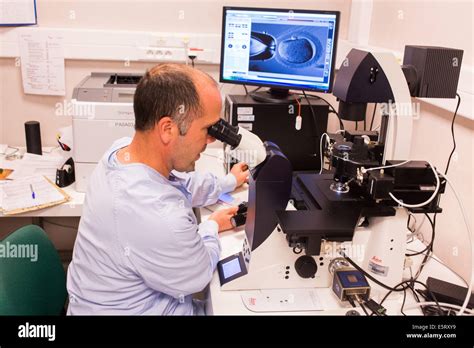 Technician Using A Light Microscope To Inject Human Sperm Into A Human Egg Cell Ovum During In