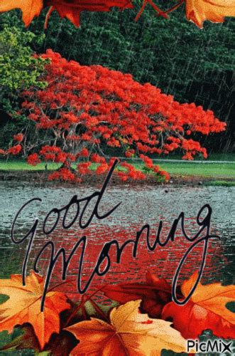 Rainy Fall Good Morning  Artofit