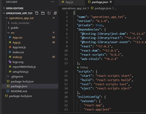 javascript react js no such file or directory open package json stack overflow