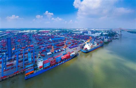 Hành Trình 20 Năm Thắp Sáng Cửa Biển Của Công Ty Cổ Phần Đầu Tư Và Phát Triển Cảng Đình Vũ