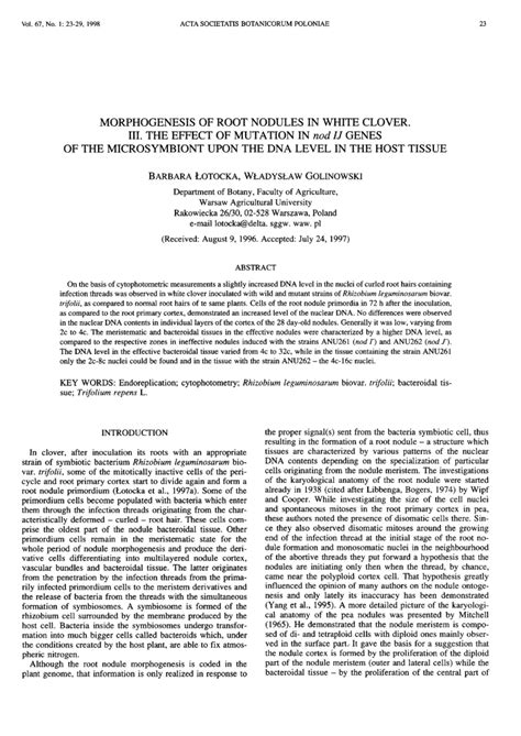 Pdf Morphogenesis Of Root Nodules In White Clover Iii The Effect Of
