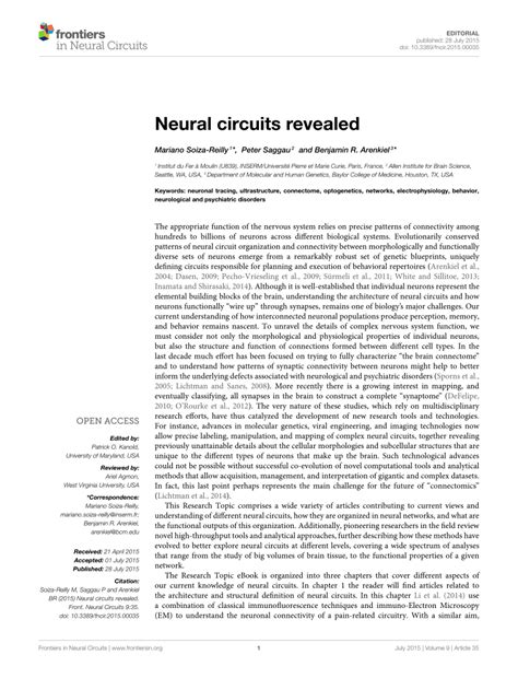 PDF Neural Circuits Revealed