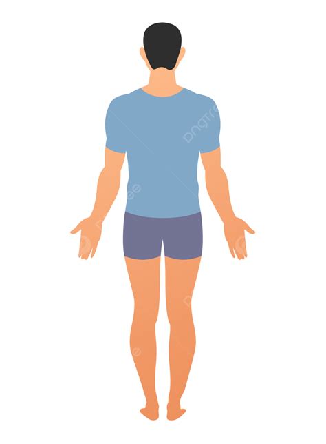 남성 피규어 바디의 뒷모습 인체 몸 신체 Png 일러스트 및 Psd 이미지 무료 다운로드 Pngtree